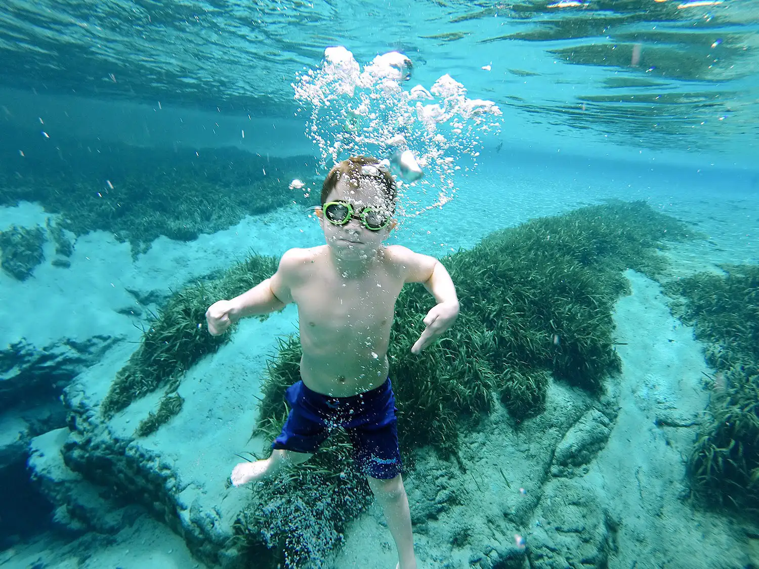 Discover Lake County, FL | Lake County Florida Tourism