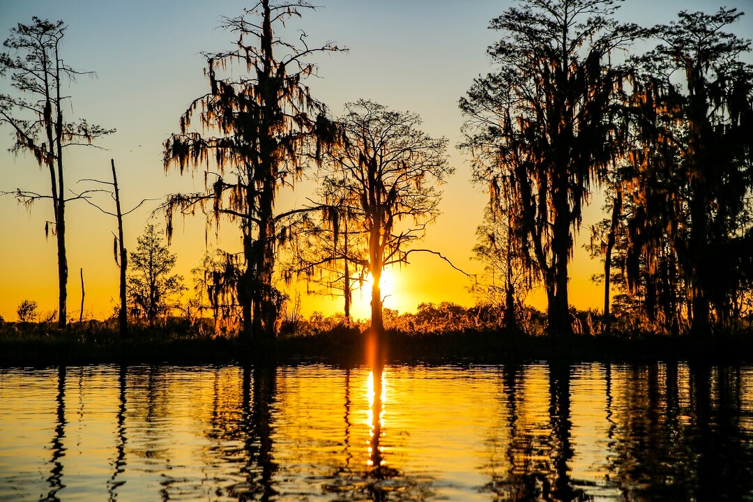 Discover Lake County, FL | Lake County Florida Tourism