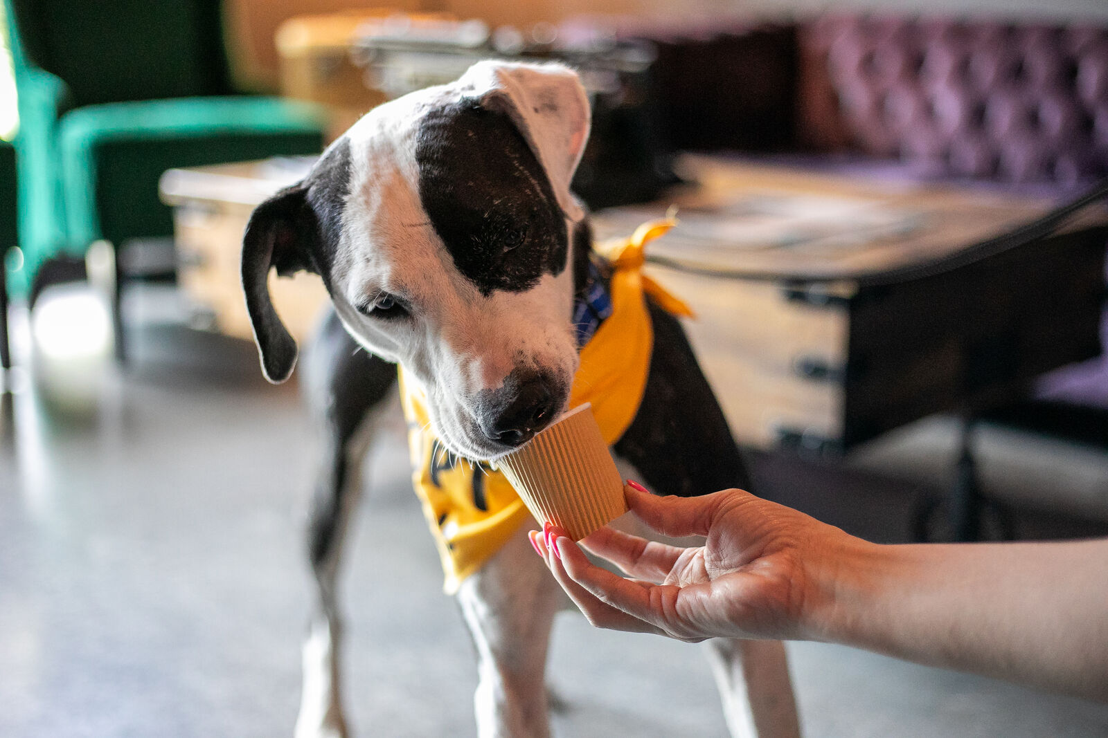 Discover Lake County, FL | Lake County Florida Tourism