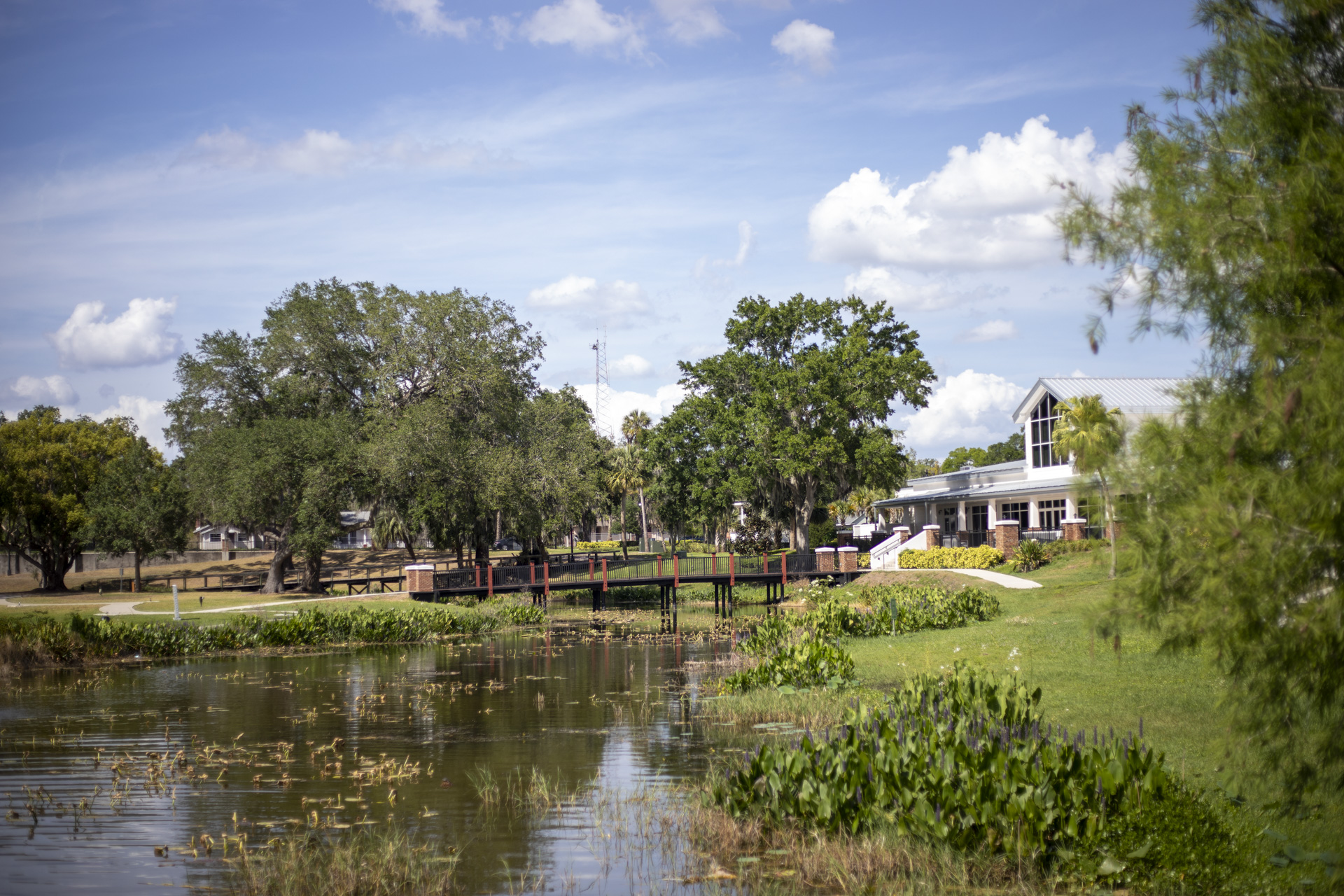 Discover Lake County, FL | Lake County Florida Tourism