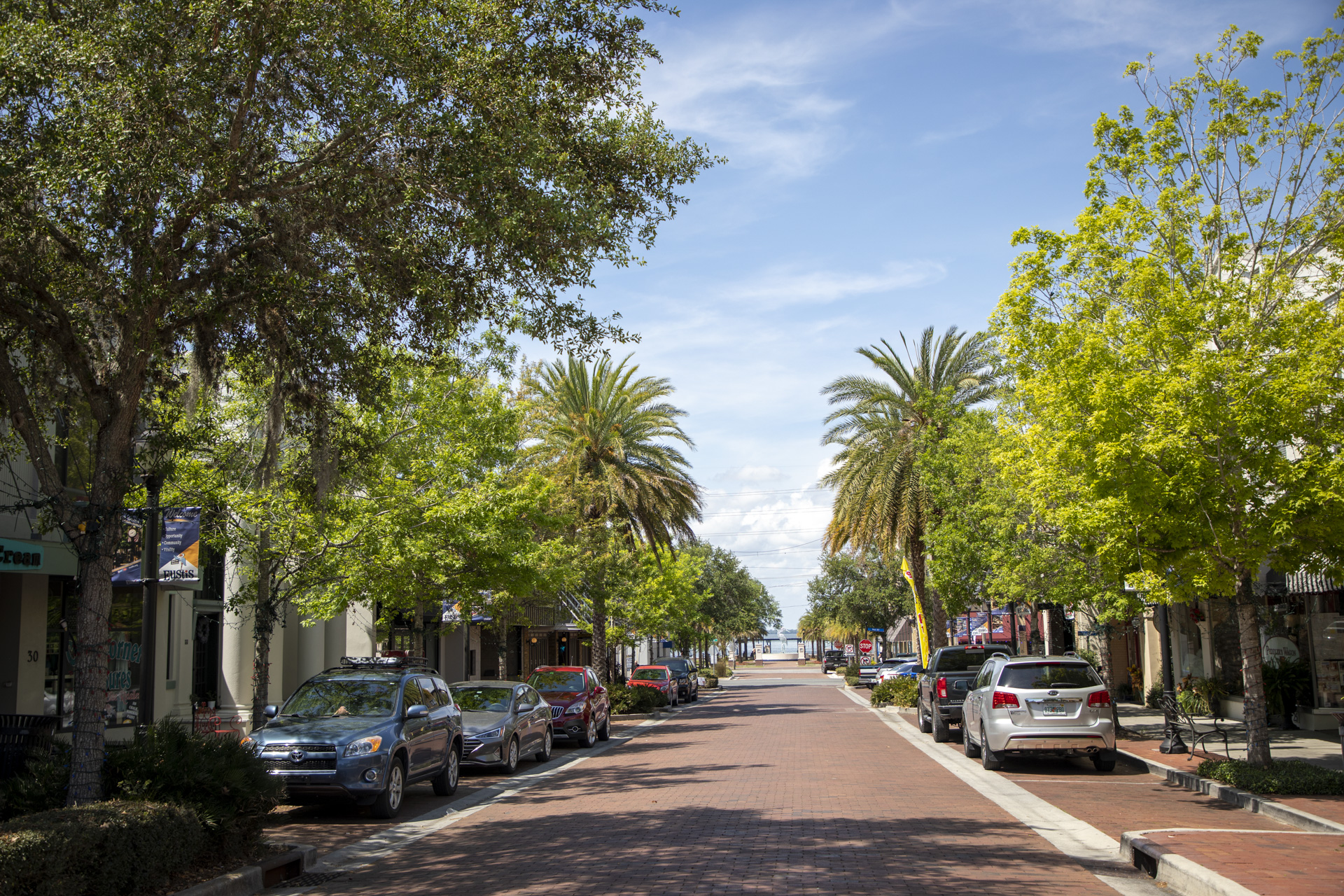Eustis Florida City Map Map And Data For Eustis Florida Updated