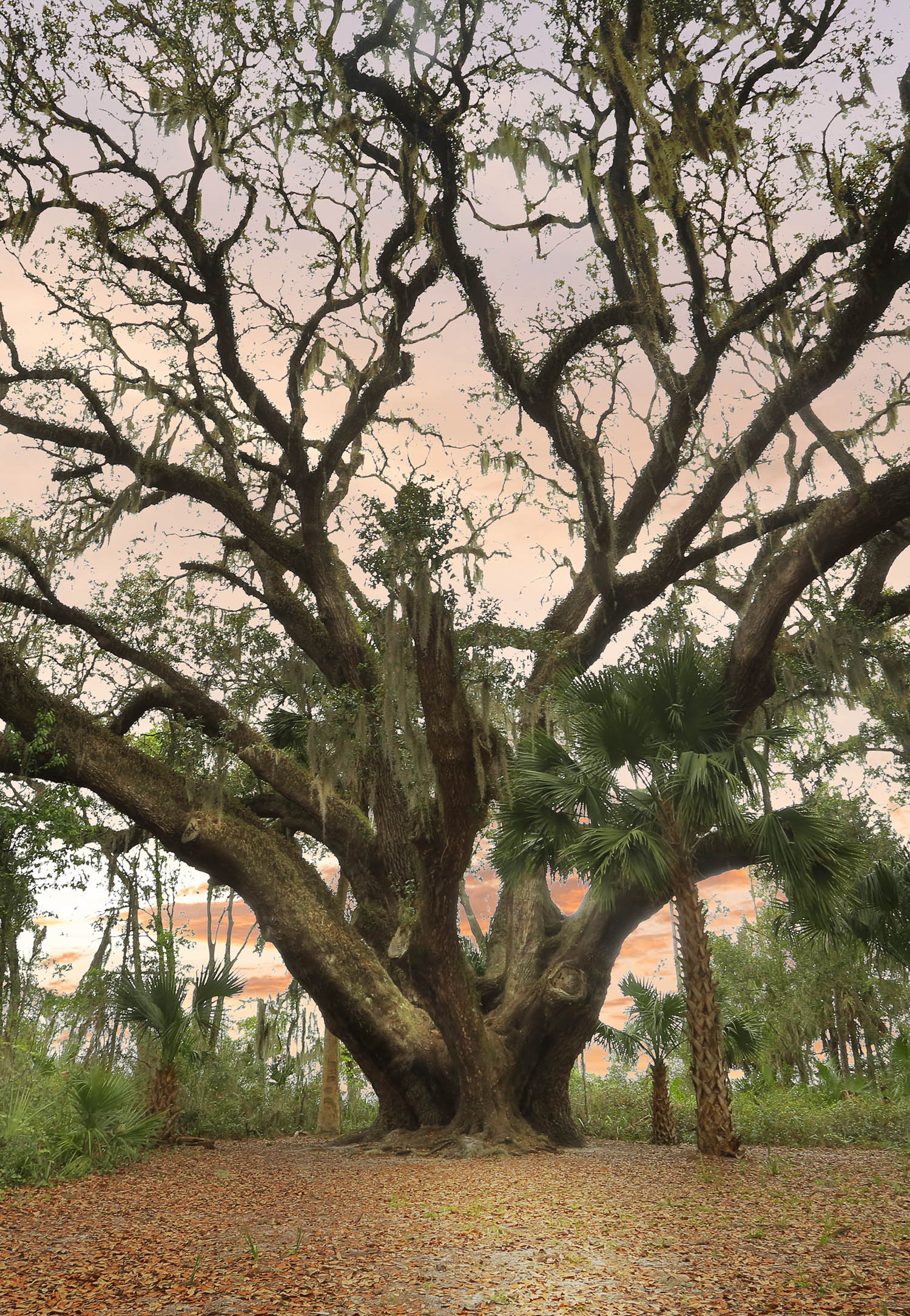 Discover Lake County, FL | Lake County Florida Tourism